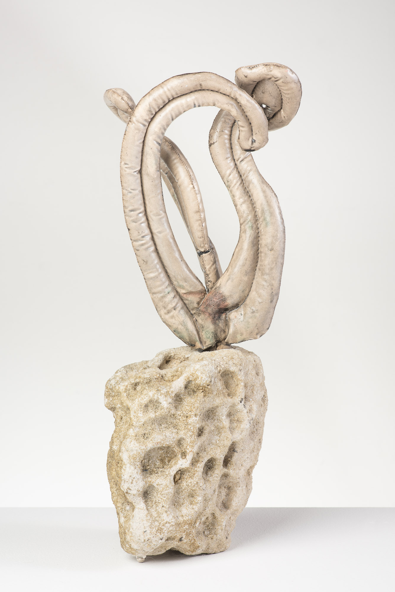 Exhibitions – Caroline Rothwell